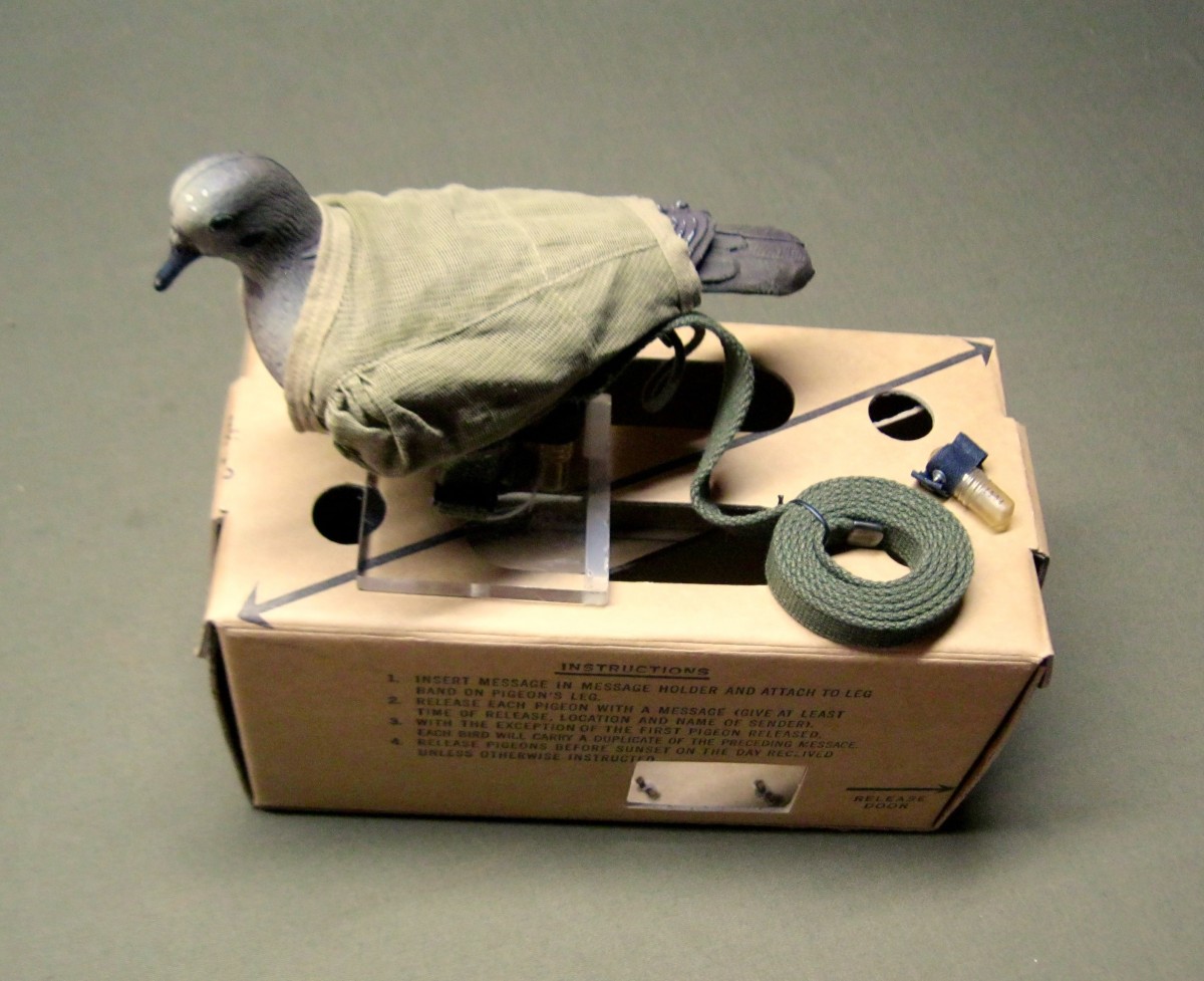 Carrier Pigeon Letter