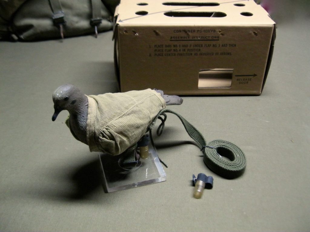 Pigeon Vest, Message Carriers, and Fiber Cage Container – SOLD | J ...