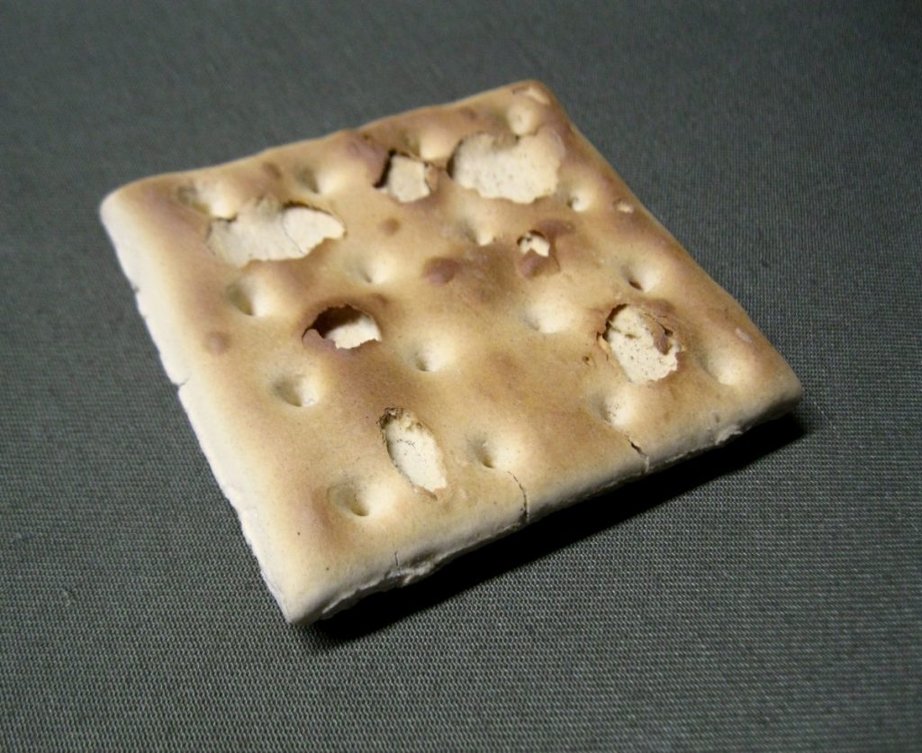 Civil War Hardtack- 10th NY Cavalryman’s Estate – SOLD | J. Mountain ...