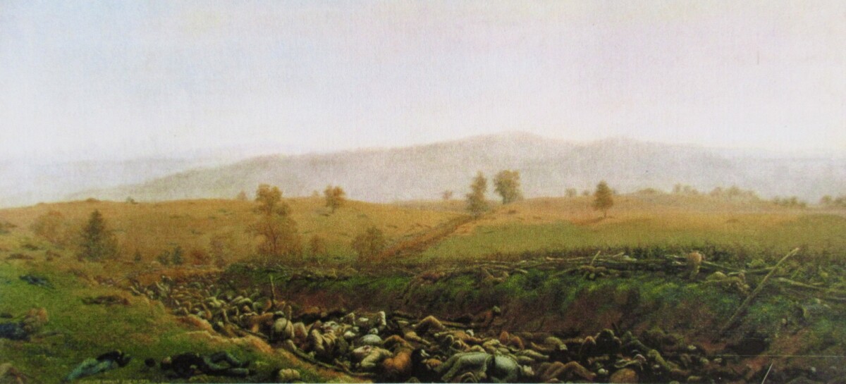 3 Cabinet Photos Taken From Captain James Hope’s Original Paintings | J ...