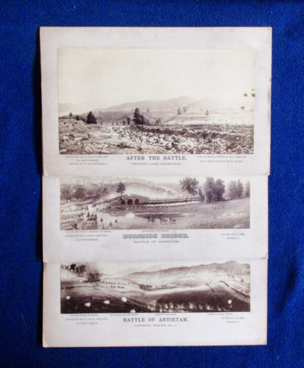 3 Cabinet Photos Taken From Captain James Hope’s Original Paintings | J ...