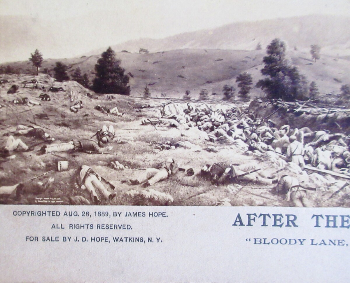 3 Cabinet Photos Taken From Captain James Hope’s Original Paintings | J ...