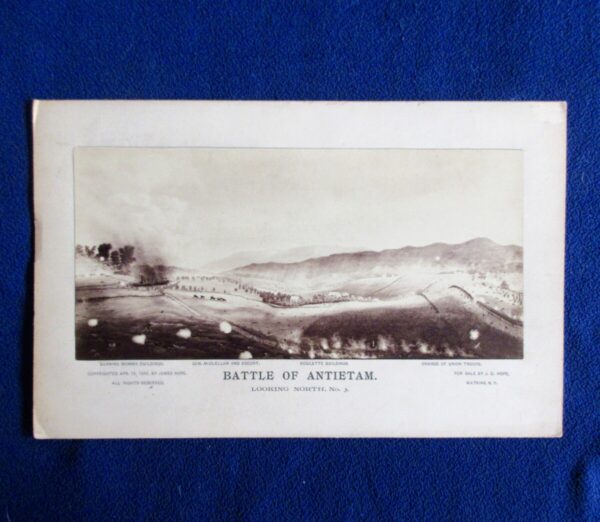 3 Cabinet Photos Taken From Captain James Hope’s Original Paintings | J ...