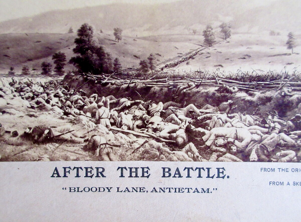 3 Cabinet Photos Taken From Captain James Hope’s Original Paintings | J ...